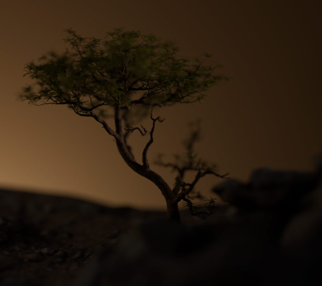 Wholesale - Luban Oman